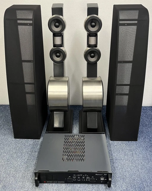 ANTHONY GALLO NUCLEUS Reference 3.1 speakers with SA subwoofer amp ...