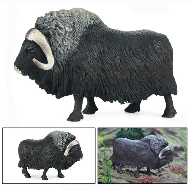 LEARNING MUSK-OX MODELS Wild Animal Farm Cattle Figurines Simulation ...