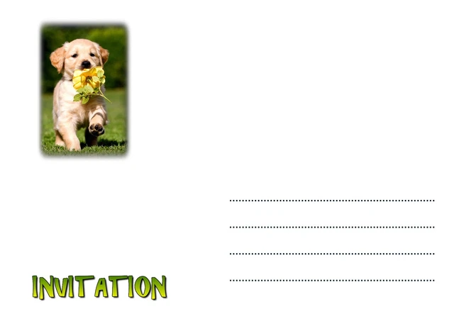 5 OU 12 cartes invitation anniversaire petit chien chiot REF 346 EUR 2 ...
