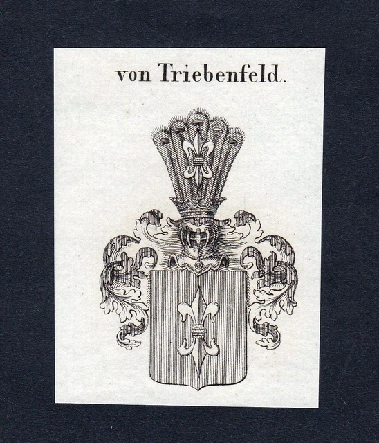 1820 TRIEBENFELD WAPPEN Adel coat of arms Heraldik Kupferstich ...