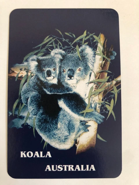 AUSTRALIAN OUTBACK AUSSIE Native Animal Koala Baby & Gumtree Swap ...