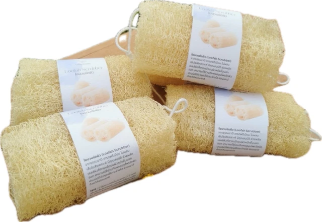 LUFFA STICKS, LUFFA body scrub, luffa bath, luffa body scrub, body ...