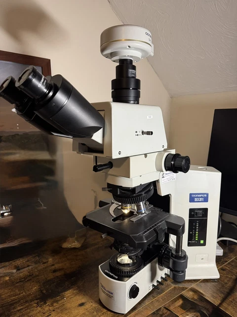 OLYMPUS BX51 MICROSCOPE BX51TF, Microscope lamp U-LH100-3 £1,750.00 - PicClick UK
