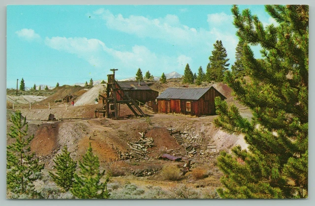 LEADVILLE COLORADO~TABOR'S MATCHLESS Mine~Wood Cabins~History on Back ...