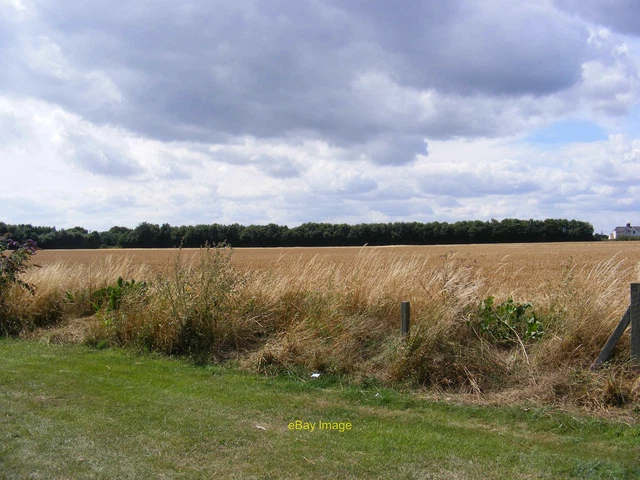 PHOTO 6X4 WOODLAND next to the railway Thorpe Common Taken from The ...