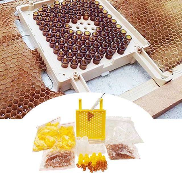 BEE QUEEN REARING Cup Kit Complete System Beekeeping Catcher Tools Box ...