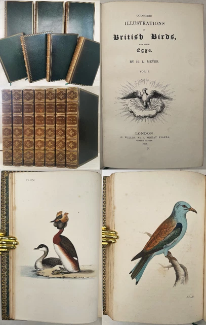 1853-57 MEYER BRITISH BIRDS & THEIR EGGS Ornithologie 368 plaques ...