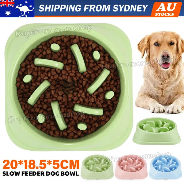 DOG-BOWL DISHES SLOW-FEEDER Large Pet-Eat Dogs Food-Nonslip Interactive ...