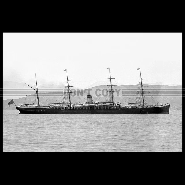 PHOTO B.001331 SS IONIC WHITE STAR LINE PAQUEBOT OCEAN LINER EUR 5,99 ...