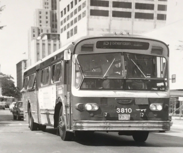 CHICAGO TRANSIT AUTHORITY Bus CTA #3810 Route 151 Sheridan B&W ...