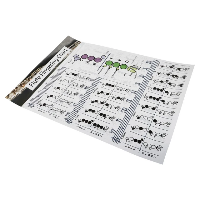 FLUTE FINGERING DIAGRAM Useful Note Chart Keys Poster for Practice £14. ...