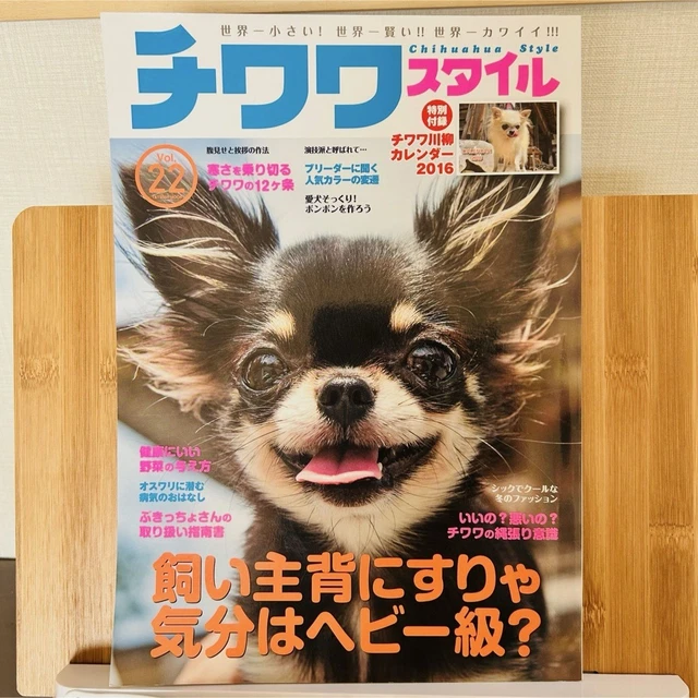 CHIHUAHUA STYLE VOL.22 | Chihuahua Specialty Magazine | Tatsumi ...