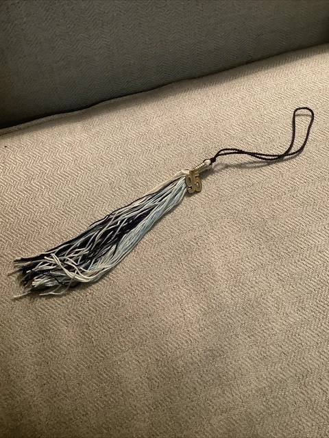 HIGH SCHOOL GRADUATION Tassel 9" Blue White Cap/Gown £6.79 - PicClick UK