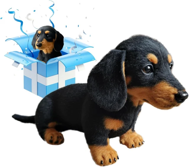 DACHSHUND PLUSH TOY, Sausage Dog, Dachshund, Hug, Relieve Stress,Ensure ...