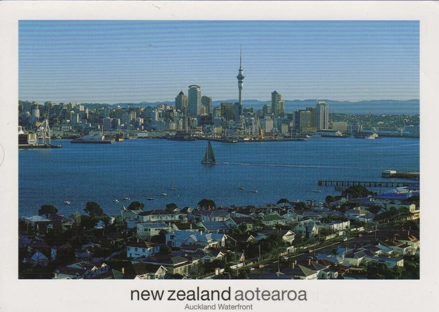 AUCKLAND SKYTOWER NEW Zealand Postcard - The Sky Tower Nz Postcard $4. ...