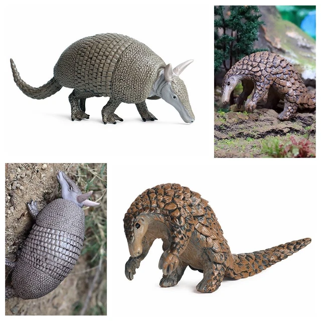 PANGOLIN MODEL SIMULATION Wild Animal Zoo Scenes Manis Pentadactyla ...