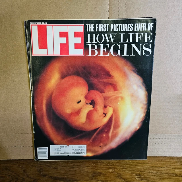 LIFE MAGAZINE AUGUST 1990 FIRST PICTURES EVER of HOW LIFE BEGINS brian ...
