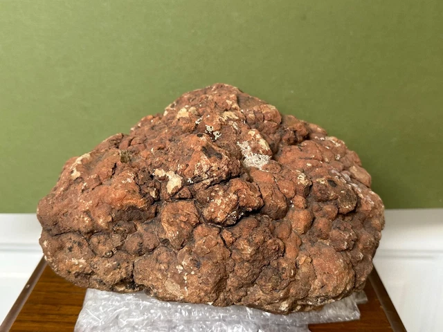 DINOSAUR COPROLITE DUNG Turd Poop Large 9 lbs, 13.5ozs of Fossilized ...