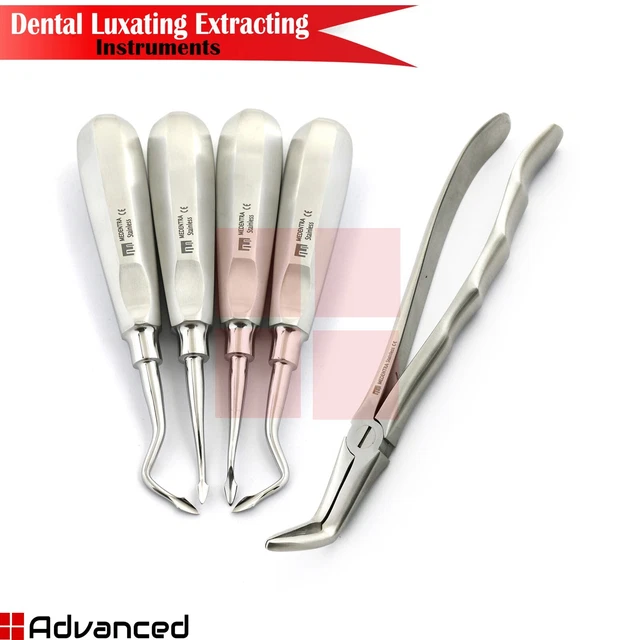 TOOTH LUXATING ELEVATORS Root Pick Extraction Forceps Oral Surgery ...