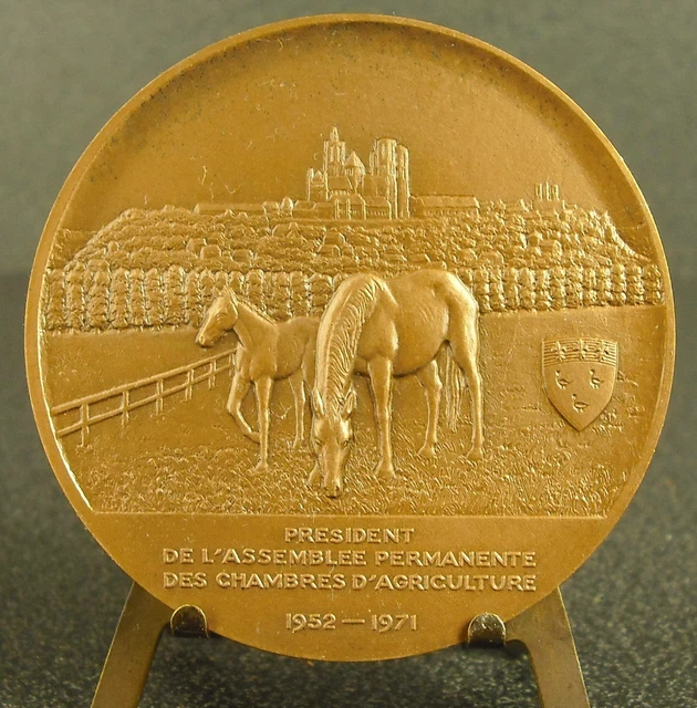 MEDAILLE KÖLNER DOM Laon & Wappen Sc Cochet 68mm Horses Animal Horses ...