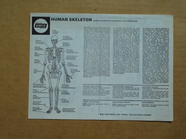 AIRFIX HUMAN Skeleton Instructions Vintage 1970s ' no model kit £3.60 ...