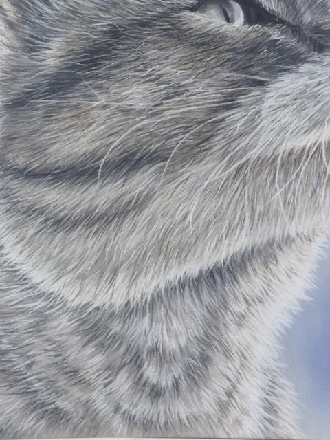 DESSIN ORIGINAL CHAT – pastel sec – 24×30 cm – œuvre unique EUR 150,00 ...