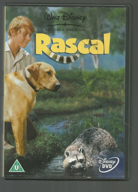 RASCAL - WALT Disney - UK REGION 2 DVD - Steve Forrest £10.49 - PicClick UK