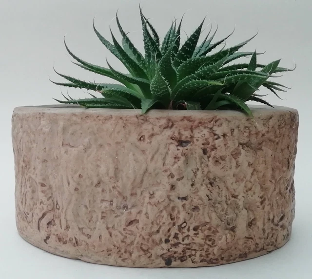 VINTAGE MOIRA POTTERY Hillstonia Bark Effect Shallow Planter Succulents ...