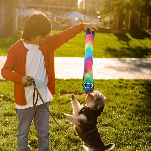 DOG MOLAR PLAYTHING Puppy Teething Toy Cartoon Pet Cat Cartoon Chewing ...