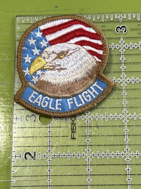US AIR FORCE McDonnell Douglas F-15 Eagle Tactical fighter "Eagle Flight" Patch £8.54 - PicClick UK