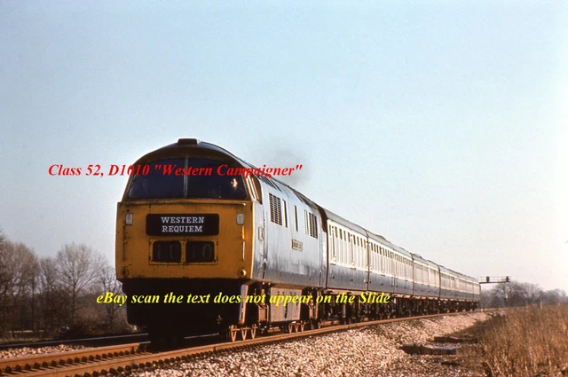 ORIGINAL 35MM COLOUR Railway Slide of Class 52 Loco, D1010 "Western ...