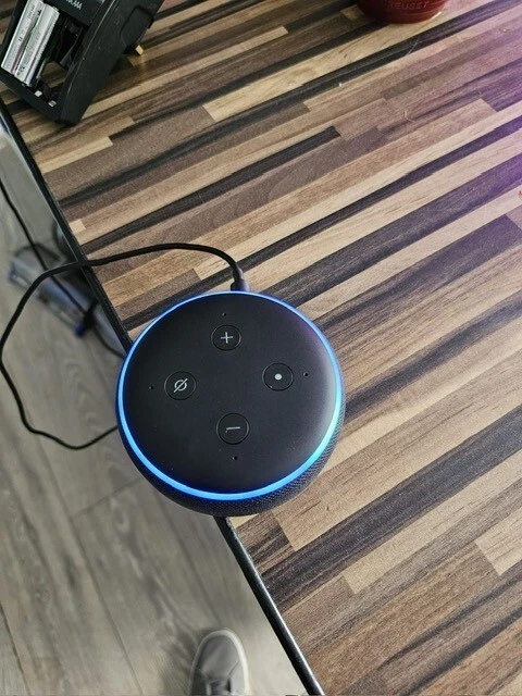 AMAZON ECHO DOT (3a generazione) Smart Assistant - Carbone USATO EUR 12 ...