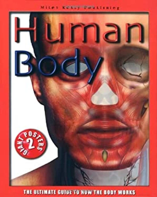 HUMAN BODY POSTER Book: Ultimate Guide to How the Body Works John $7.33 ...