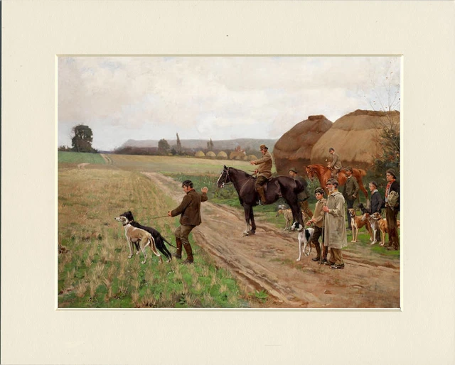 GREYHOUND ART DOG Print £15.00 - PicClick UK