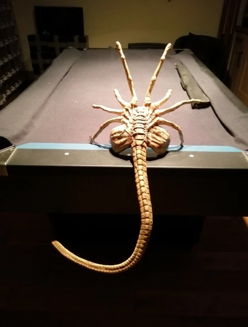 LIFE SIZE REPLICA Face Hugger. £174.99 - PicClick UK