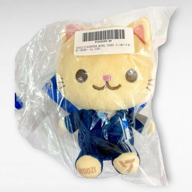 SEVENTEEN COORDY MINI Plush Doll Woozi Maggot Cat - Used, Carnival ...