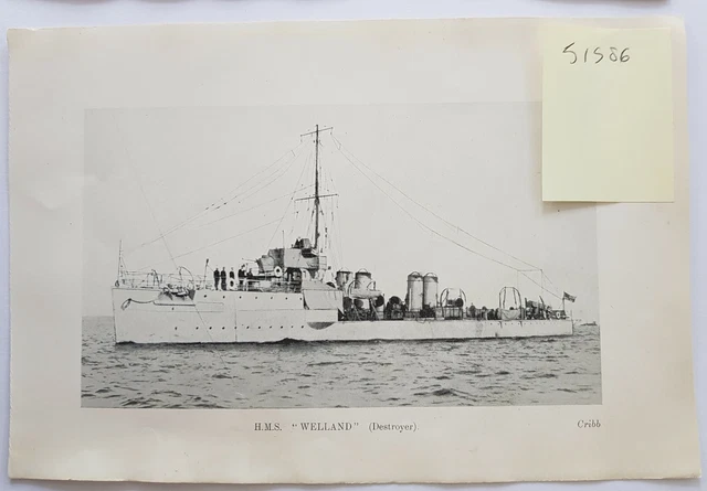 CRIBB WW1 WARSHIP 1915 Photo Print Destroyer HMS Welland HMS Boyne EUR ...