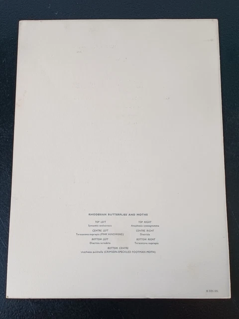 VINTAGE UNION CASTLE Line Ship Dinner Menu RMMV Athlone Castle 1956 ...