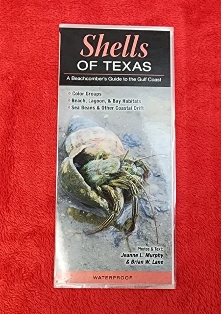 SHELLS OF TEXAS A Beachcomber's Guide to the Gulf Coast Waterproof $4. ...