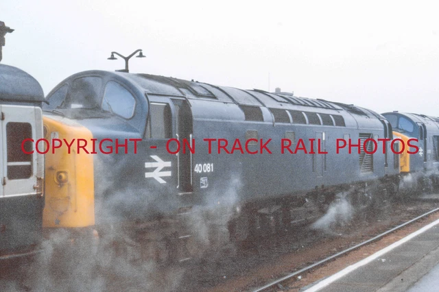 UK RAILWAY PHOTOGRAPH Of Class 40 40081. Rm40-64 £1.70 - PicClick UK