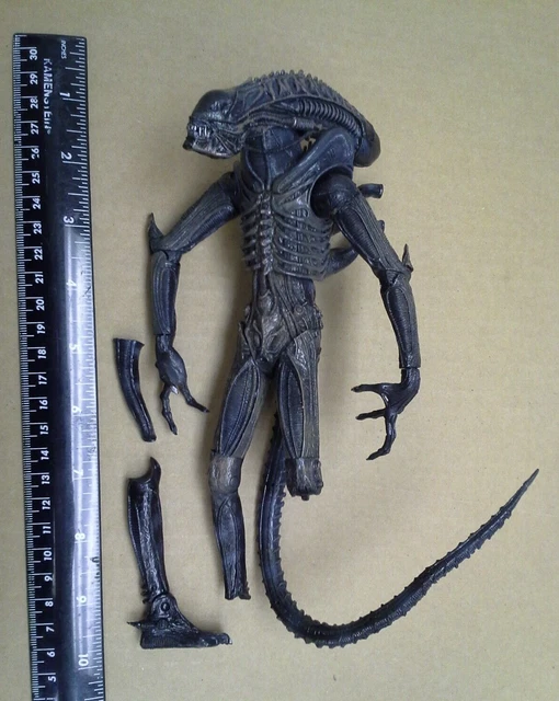 NECA XENOMORPH WARRIOR 7" Action Figure, ALIENS Movie (Broken/Custom ...