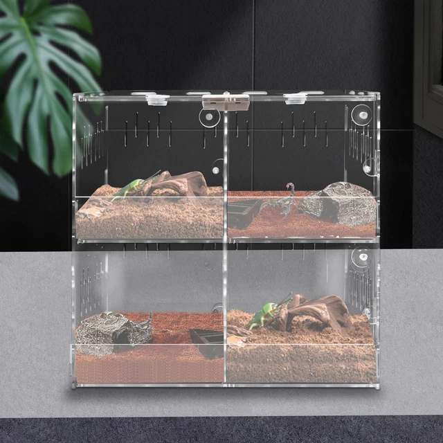 4 GRID ACRYLIC Reptile Enclosure Lizard Snake Insect Mesh Cage Clear ...