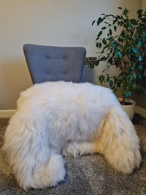 NATURAL SHEEPSKIN RUG EXTRA LARGE Genuine Pelt GIANT Soft Fleece Ivory ...