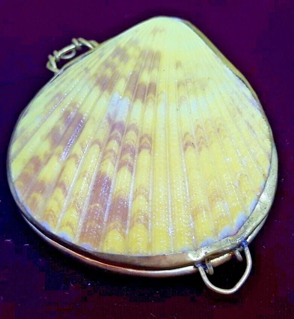 VINTAGE YELLOW SEA Shell Clam Shell Compact Coin Brass Hinged Purse ...