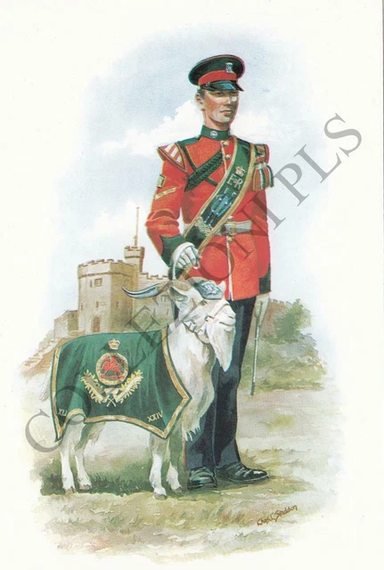 CARTOLINA/POSTCARD CHARLES STADDEN BMU48: Airman The Queen's Colour Sqd ...