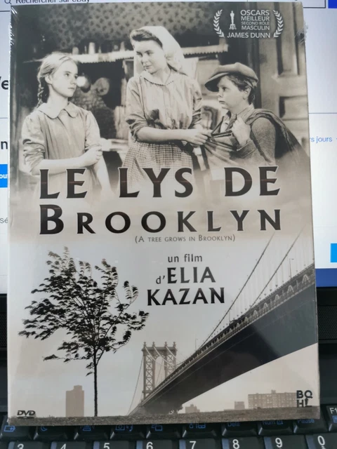 DVD LE LYS De Brooklyn Film D'elia Kazan 1945-2016 Neuf Sous Blister En ...