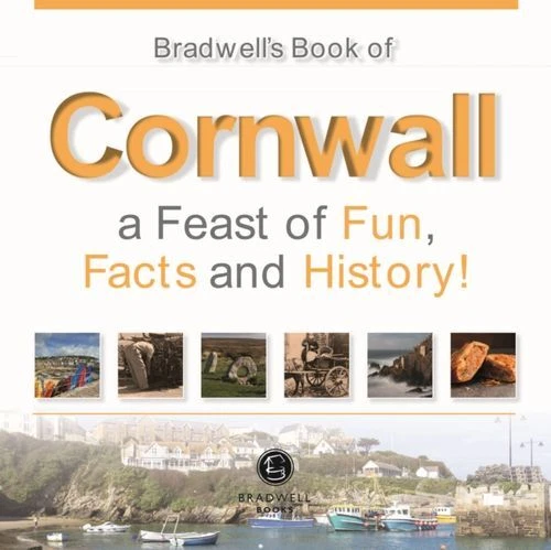 BRADWELLS BOOK OF Cornwall Ic Zajac Camilla EUR 7,54 - PicClick FR