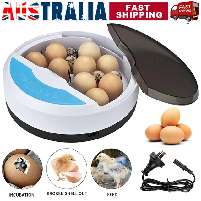 9 EGG INCUBATOR Semi-Automatic Digital Temperature Chicken Duck Eggs ...