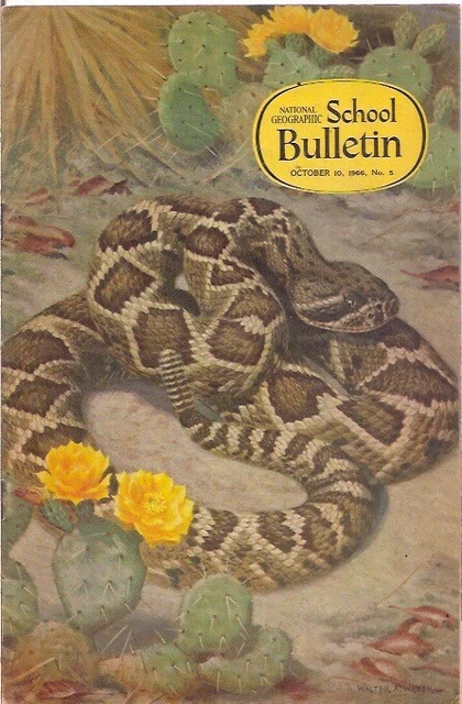 NATIONAL GEOGRAPHIC-SCHOOL BULLETIN-OCT 10,1966-SNAKES. £3.50 - PicClick UK