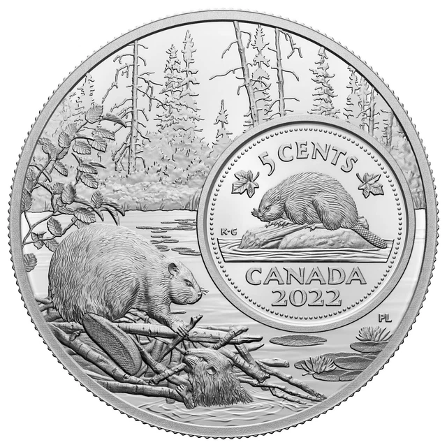 2022 CANADA 5C The Bigger Picture: Beaver - 5 oz. Pure Silver Coin $695 ...